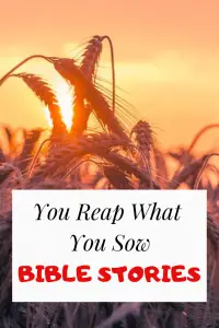 You Reap What You Sow: Meaning and 10 Bible Verses