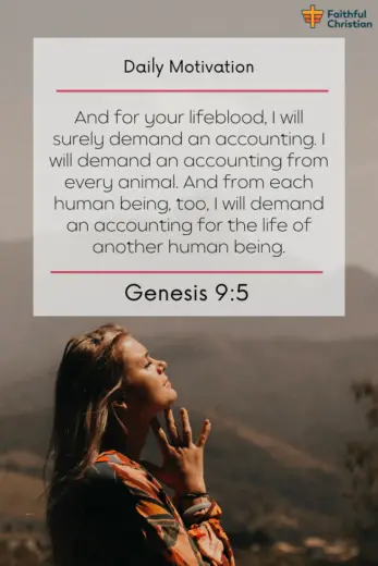 29 Bible verses about Eye for an Eye, tooth for tooth (scriptures)