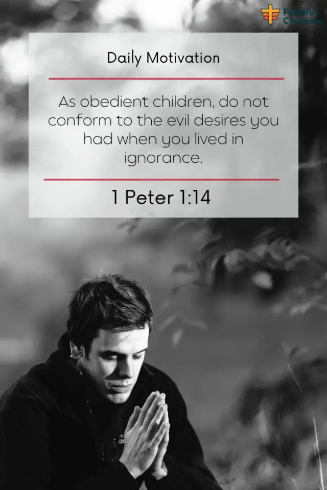 30+ Bible verses about changing your mindset (And ways)